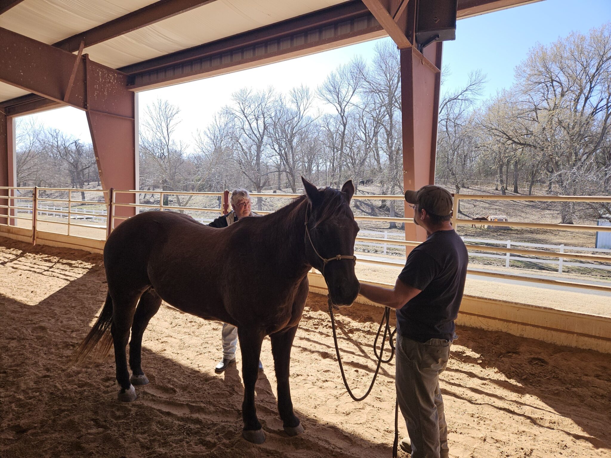Home - Broken Warrior Ranch, LTD